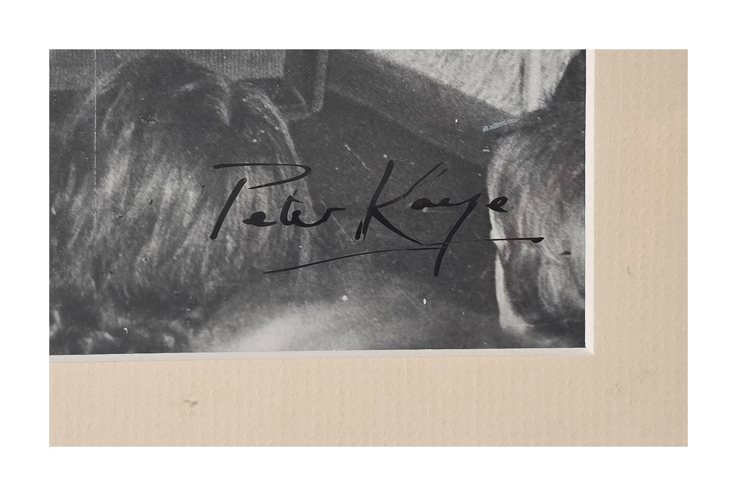 Lot 119 - The Beatles Cavern Club Peter Kaye Signed